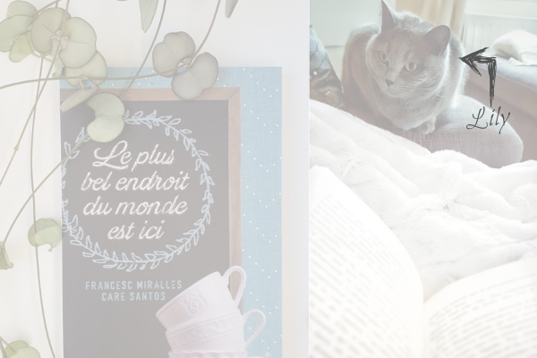 6 pépites du livre Le plus bel endroit du monde est ici – Espace de ...